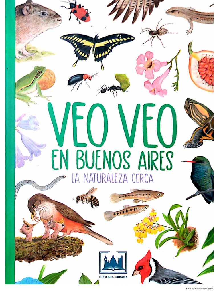 Veo Veo en Buenos Aires | PDF