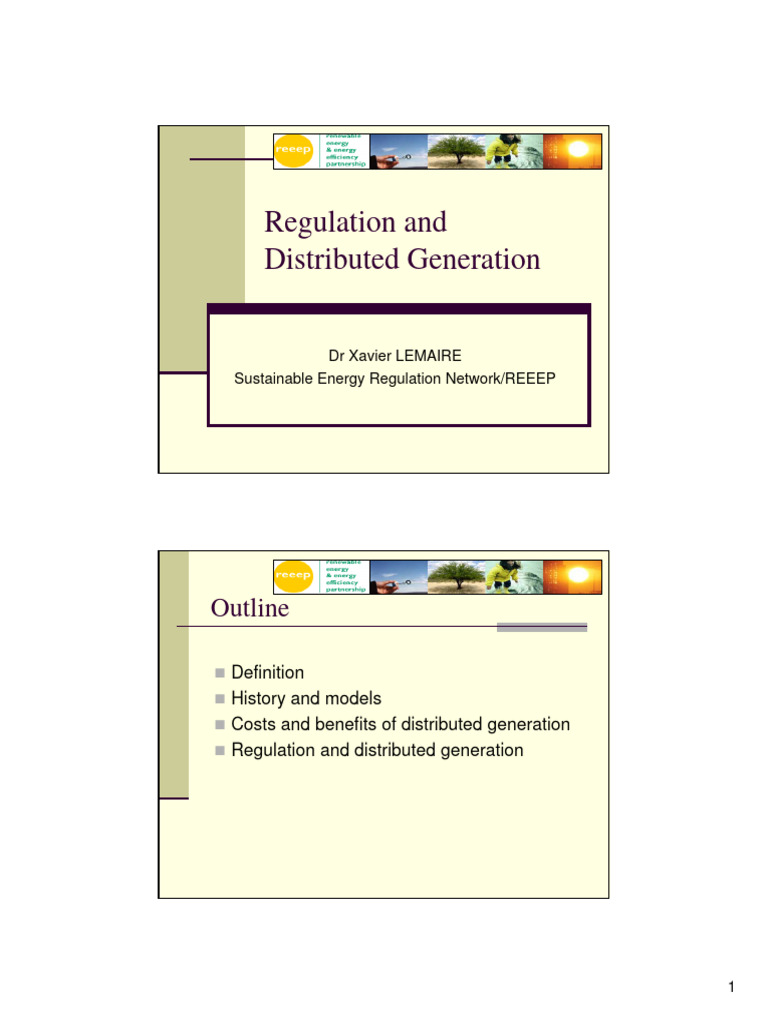 Reep Regulation | PDF | Distributed Generation | Electrical Grid