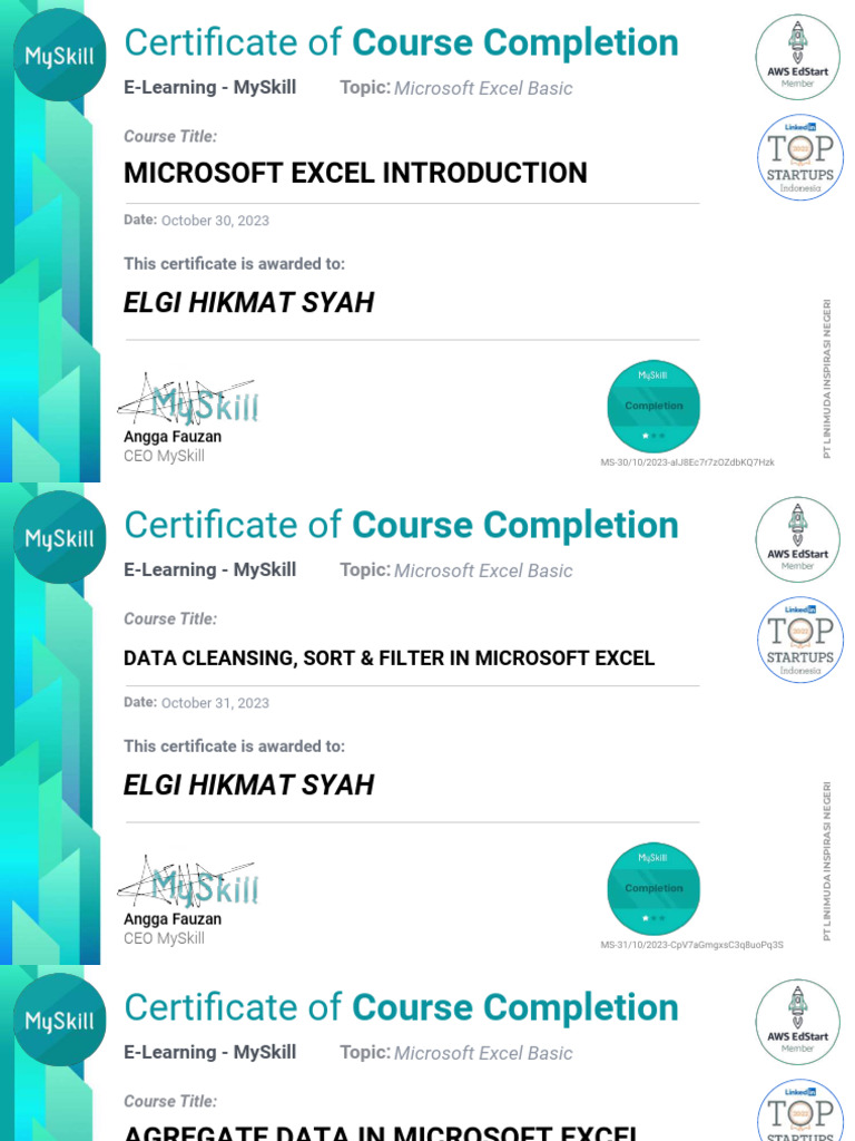 Microsoft Excel Basic | PDF