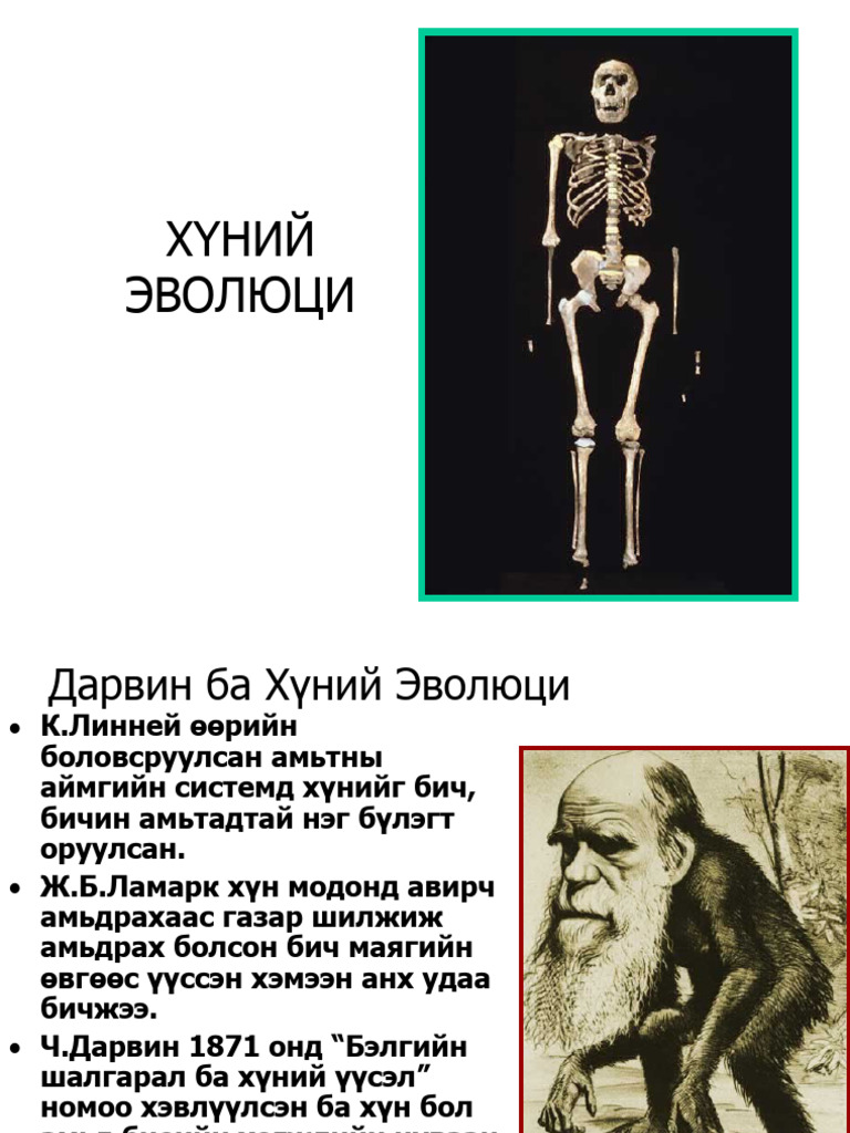 34 Humans | PDF