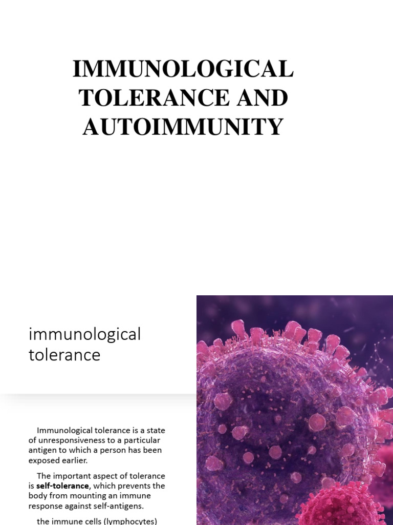 Lecture - IMMUNOLOGICAL TOLERANCE AND AUTOIMMUNITY | PDF | Immune Tolerance | Immune System