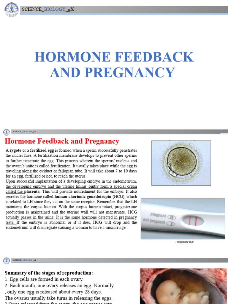 Hormonal Role in Pregnancy Process | PDF | Uterus | Fertilisation