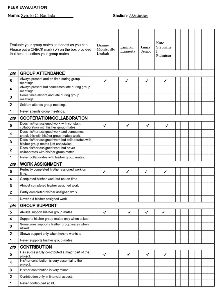 BM-PEER-EVALUATION (1) | PDF