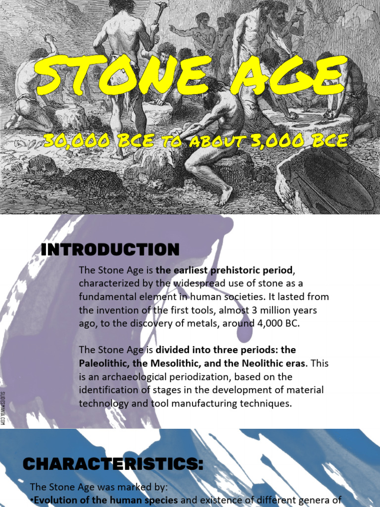Stone Age | PDF | Homo | Stone Age
