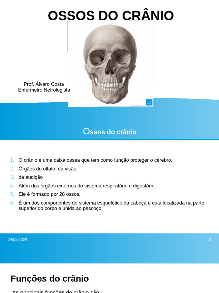 Aula 1 ossos do cranio | PDF | Crânio | Orelha