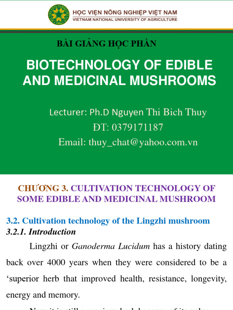CH 3.1 Cultivation Technology of Ganoderma Lucidum | PDF