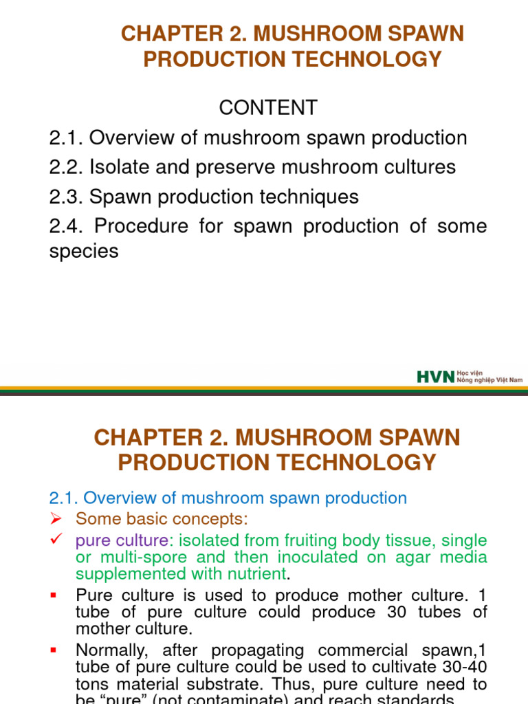 Chapter 2 - 3 - 3 | PDF