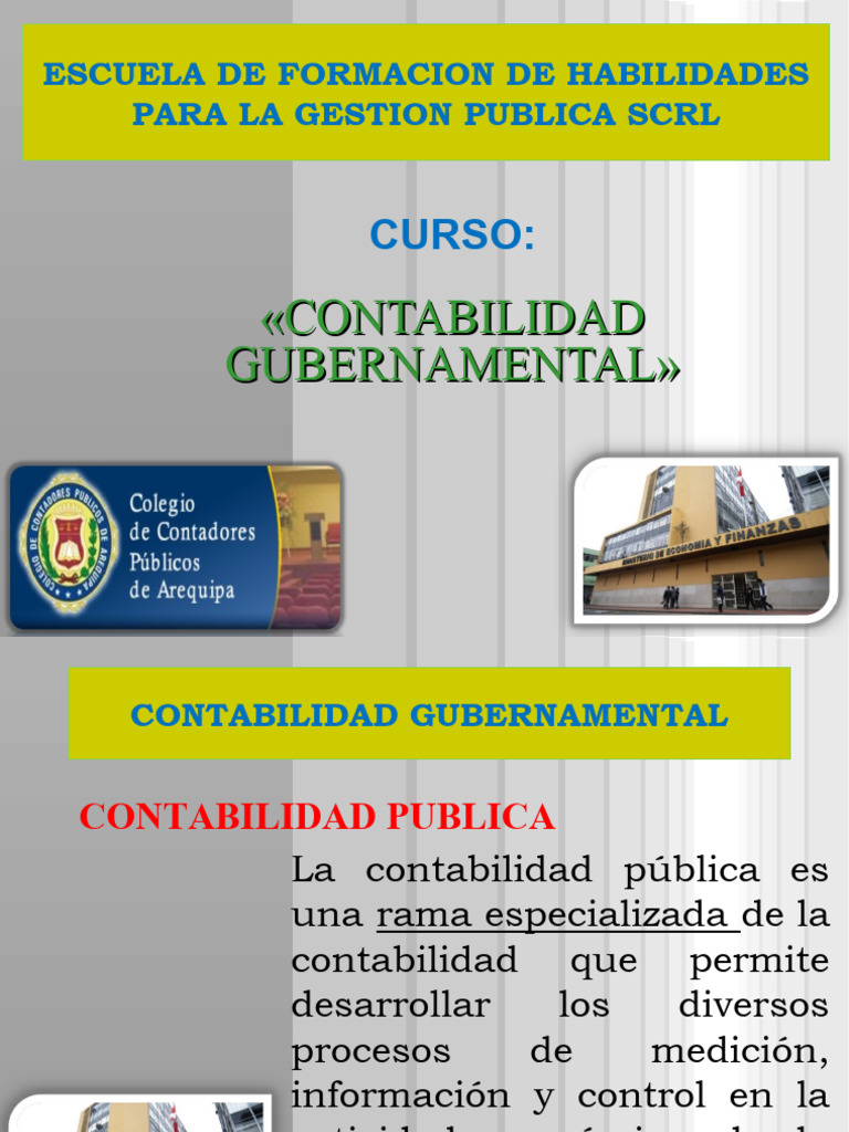 Curso Contab Gubernamental - Exposicion | PDF | Contabilidad | normas internacionales de ...