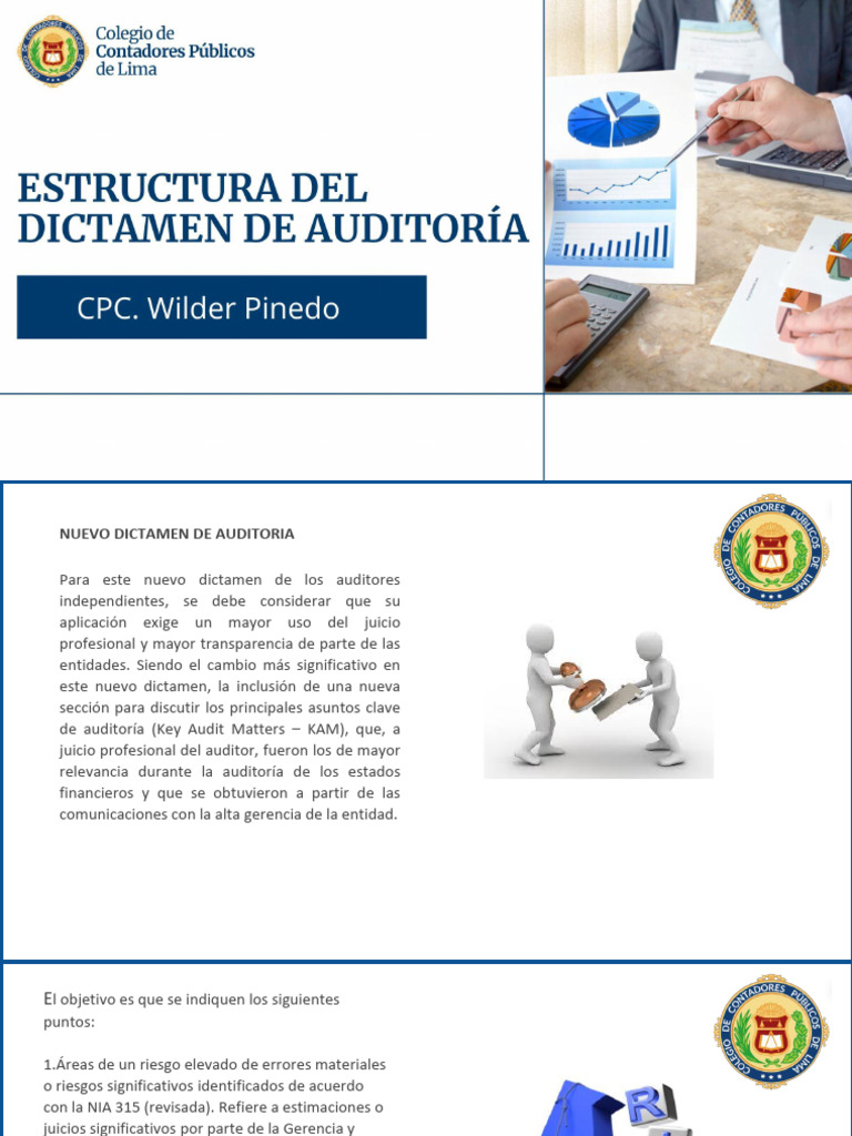 Estructura Del Dictamen De Auditoria Nia 700 Ejemplos