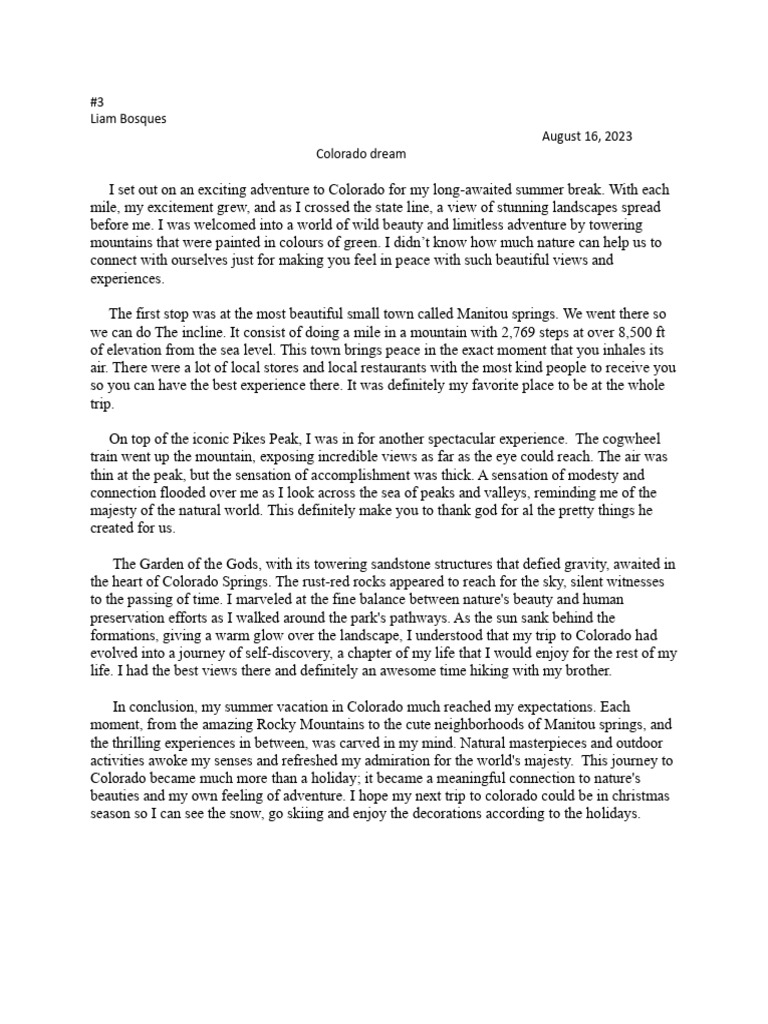 AP English Essay | PDF