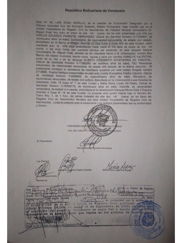 Acta de Vale Documento-WPS Office | PDF