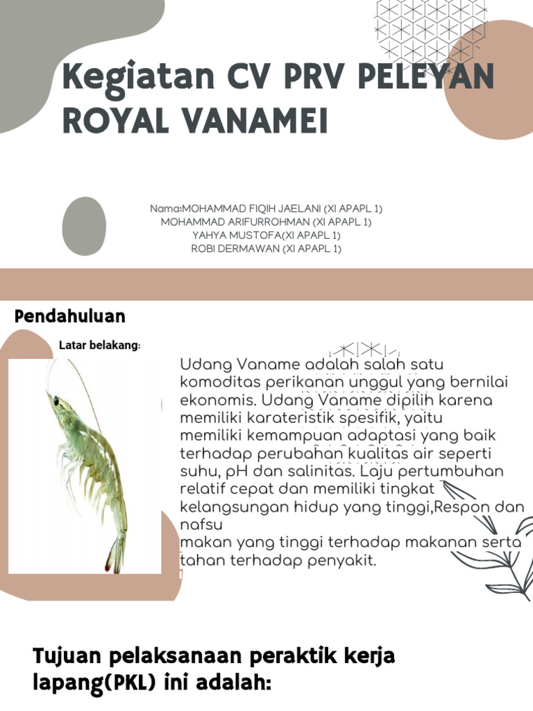 Presentasi PKL SMKN 1 Suboh Situbondo Di Tambak Udang CV PRV PELEYAN ROYAL VANAMEI | PDF ...