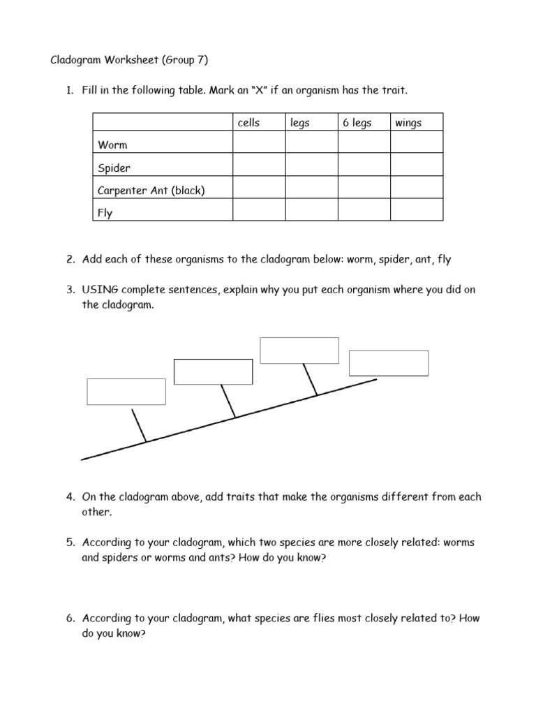 Cladogram Worksheet GRP 7 and 8 | PDF