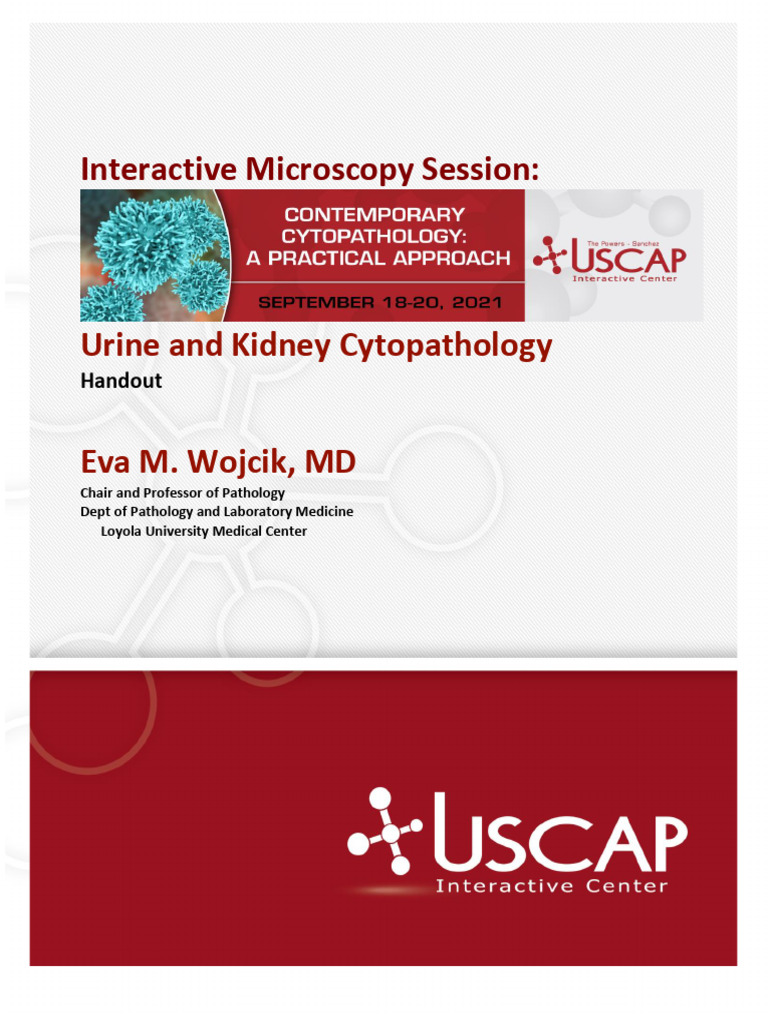 Handout - Urine and Kidney Cytopathology | PDF | Kidney | Cytopathology
