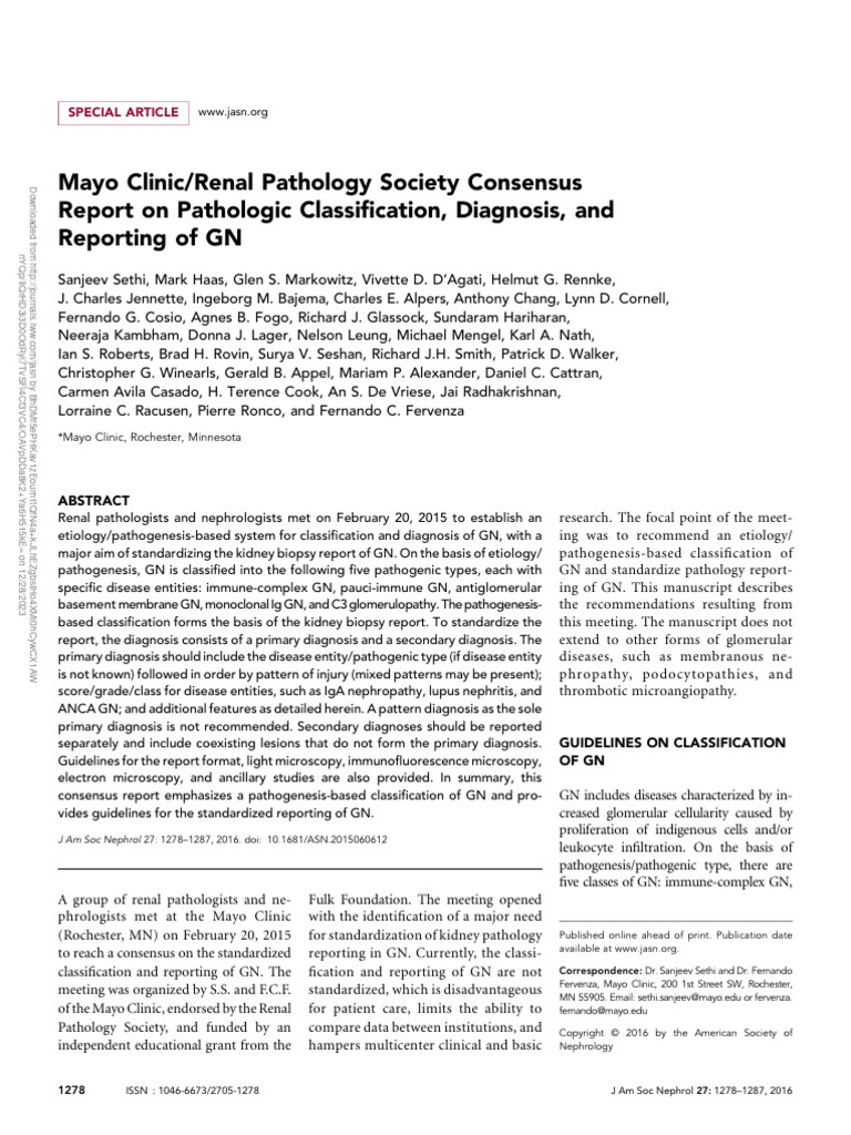 Mayo Clinic:Renal Pathology Society Consensus Report On Pathologic ...
