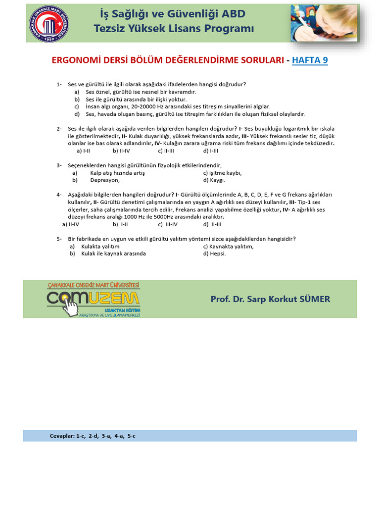 Ergonomi Sorular-Hafta 9 | PDF