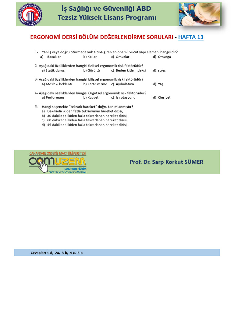 Ergonomi Sorular-Hafta 13 | PDF