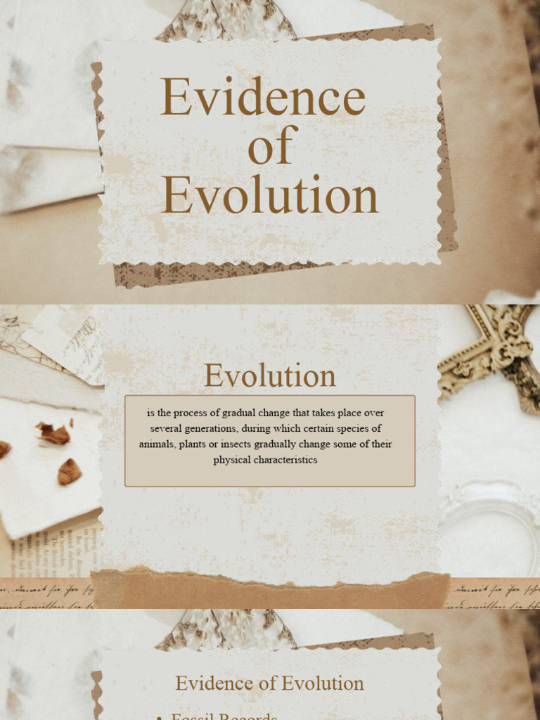Evidences of Evolution | PDF
