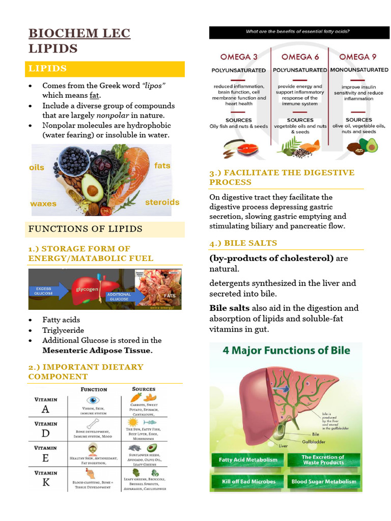 Lipids: Functions and Types Explained | PDF