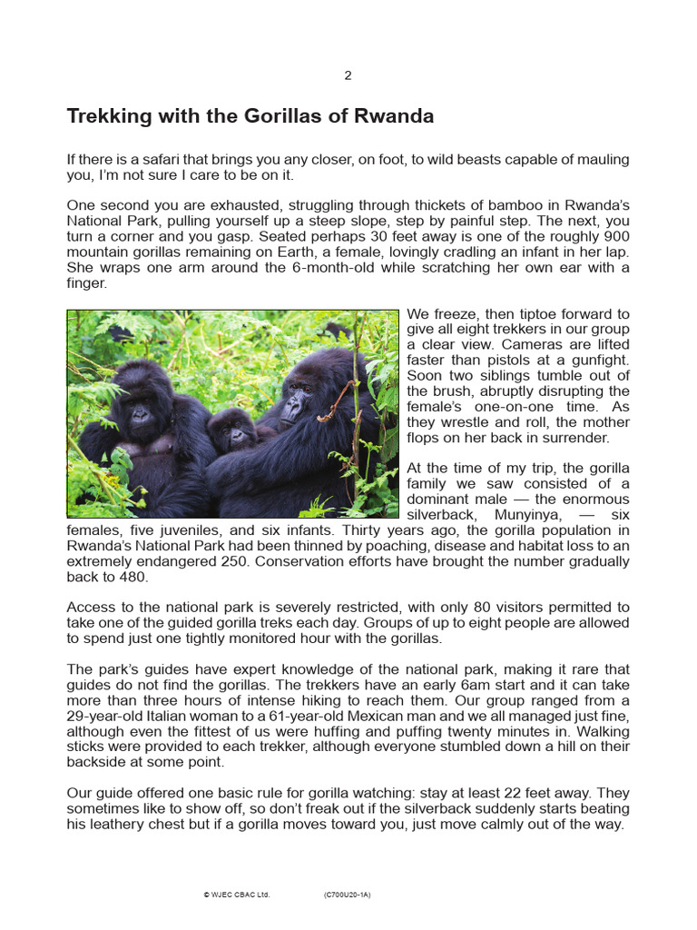 Resource Material | PDF | Gorilla | Zoology