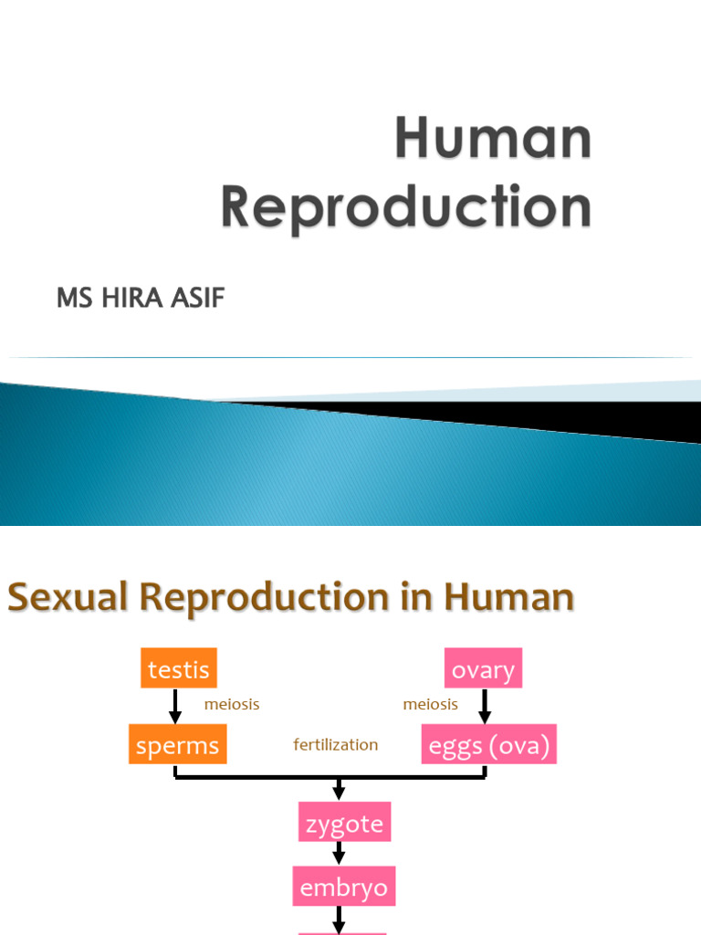 Human Reproduction | PDF