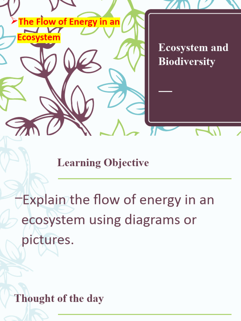 Energy Flow in Ecosystems Explained | PDF | Food Web | Foods