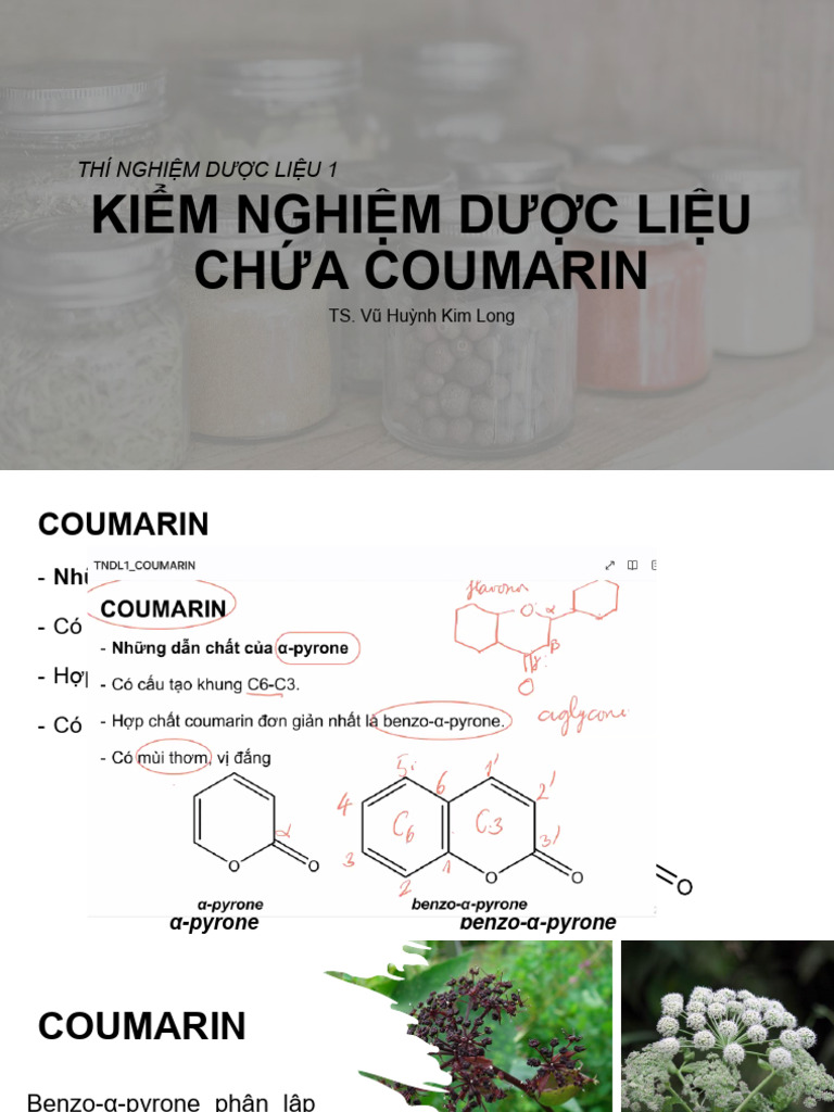TNDL1 Coumarin | PDF