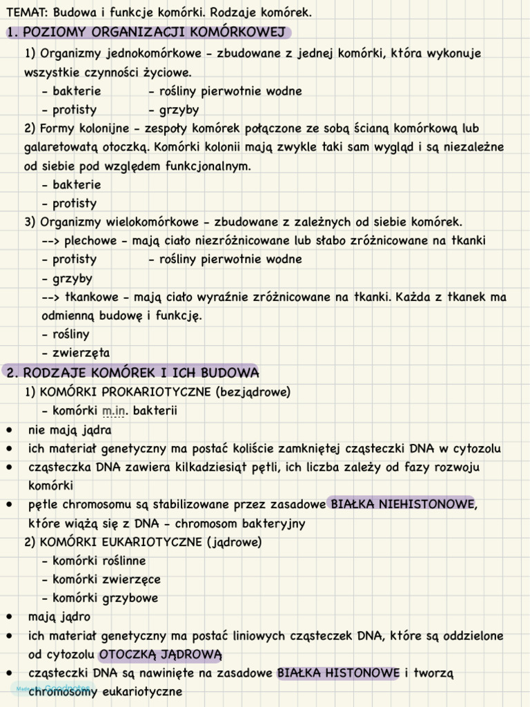 Budowa I Funkcje Komórki. Rodzaje Komórek | PDF