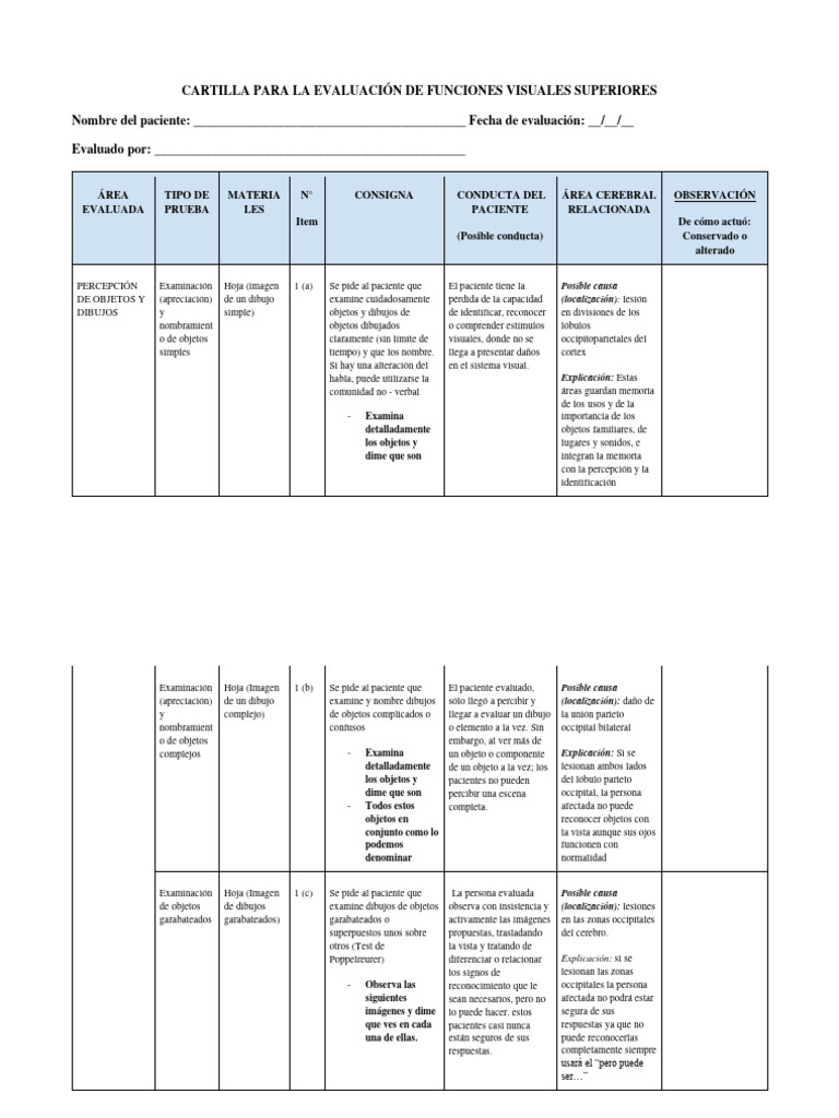Cartilla FUNCIONES VISUALES SUPERIORES, GRUPO 3 | PDF | Percepción ...