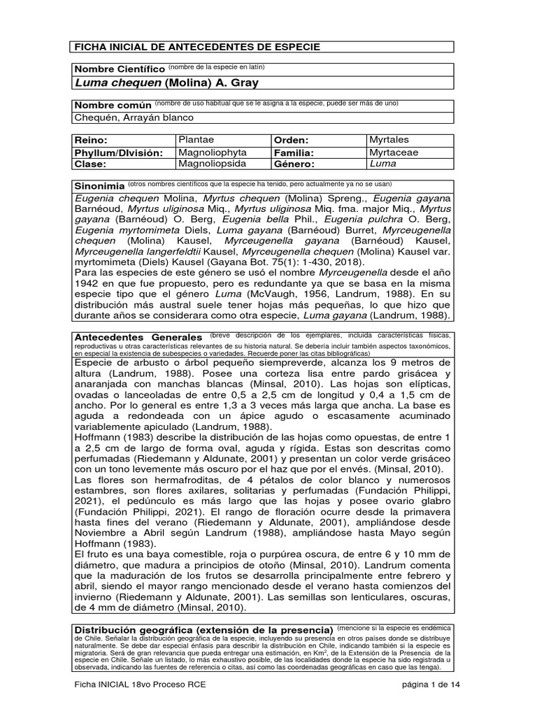 Luma Chequen 18RCE INICIAL | PDF | Chile | Suelo