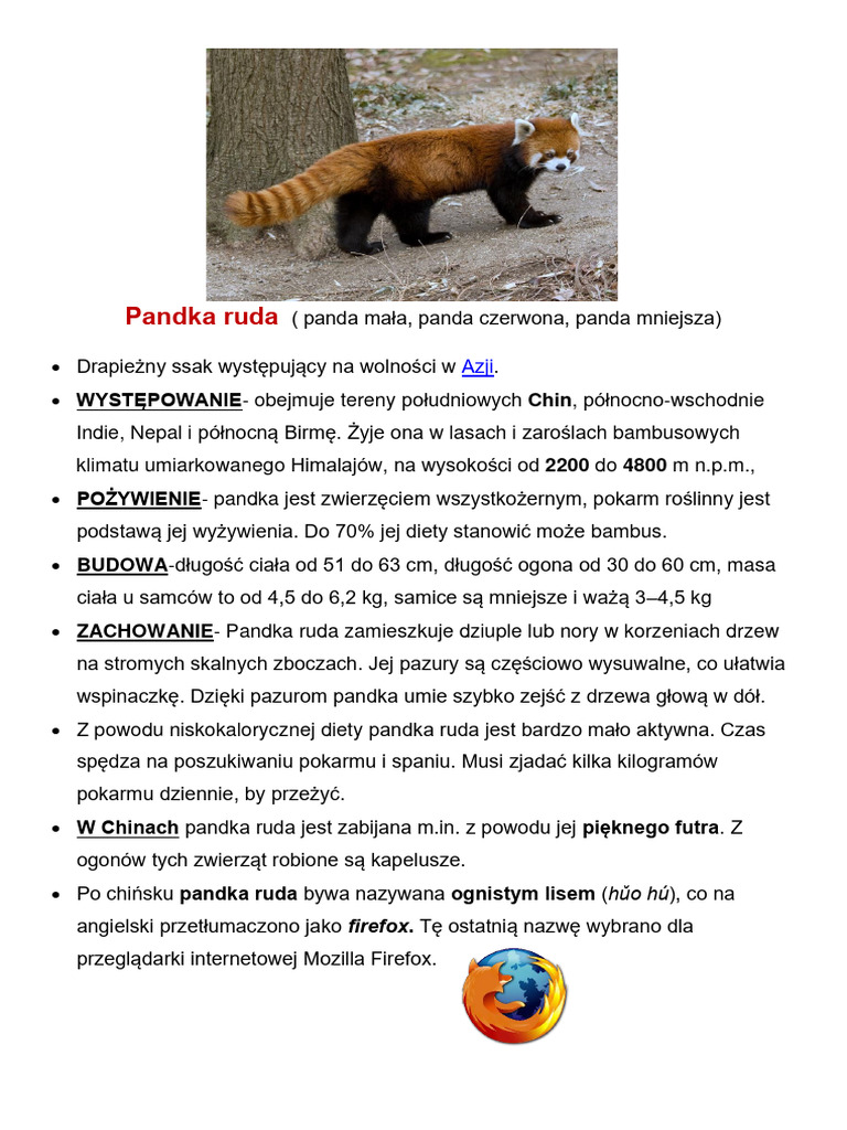 Panda Ruda Druk3 | PDF