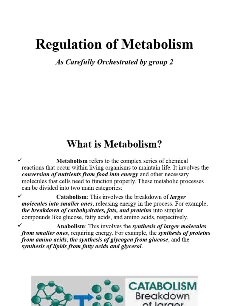 Understanding Metabolism Regulation | PDF | Metabolism | Metabolic Pathway