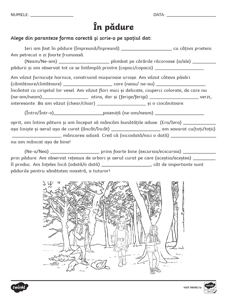 LC 370 in Padure Scriem Corect | PDF