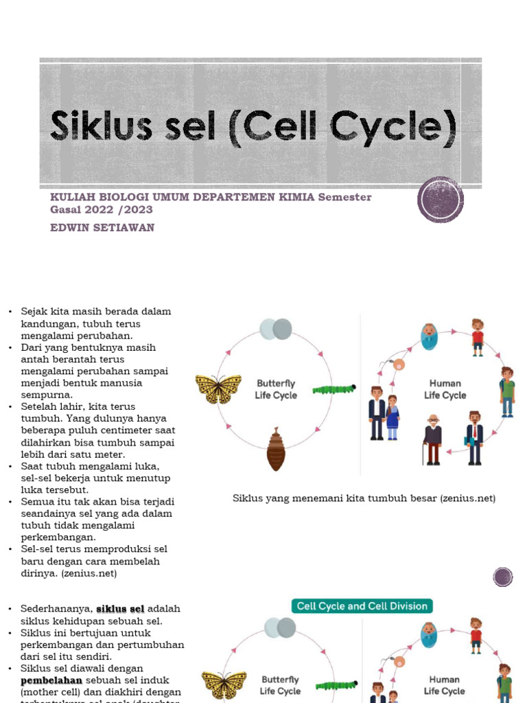 Siklus Sel (Cell Cycle) | PDF | Pengembangan Diri | Kesehatan Holistik