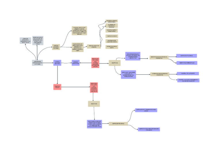 Mapa Conceptual | PDF | Salud pública | Medicina CLINICA