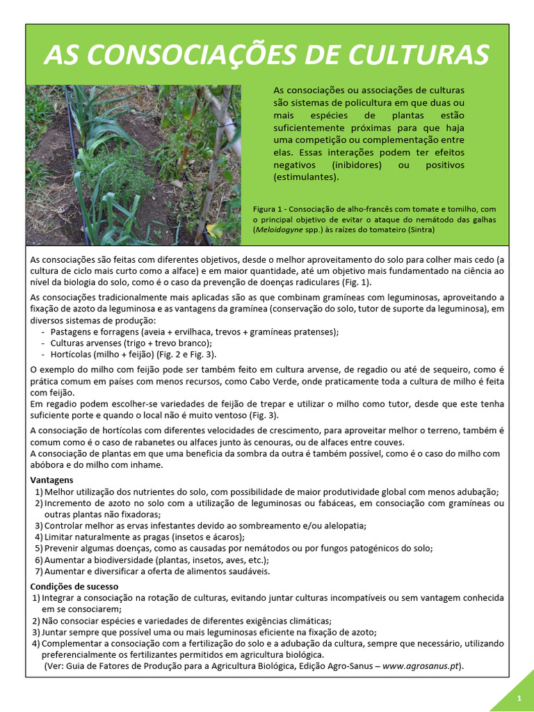 FT 2.2 As Consociacoes de Culturas Logos - Todos | PDF