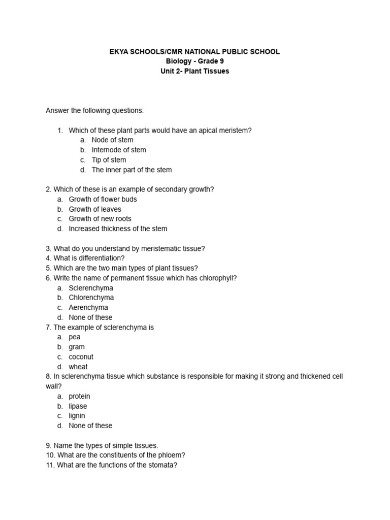 Plant Tissues Worksheet | PDF