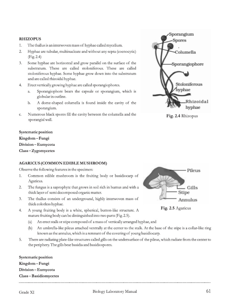 11th Practical 1 | PDF