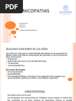 Acrodisostosis | PDF | Clavo (anatomía) | Ciencias de la Salud