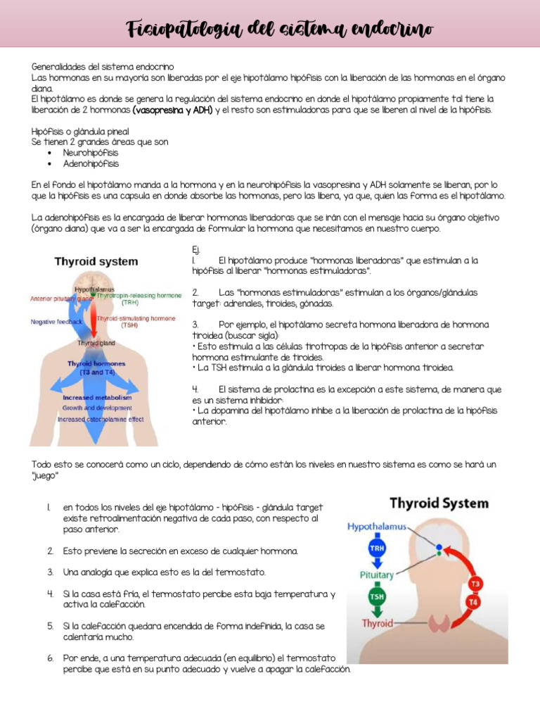 Fisiopatologia de Sistema Endocrino | PDF | Hormona estimulante de la tiroides | Hormona ...
