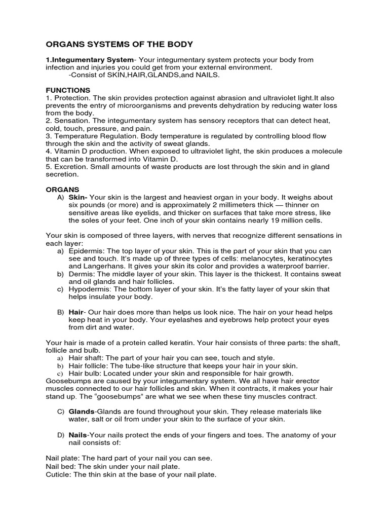 ORGANS SYSTEMS OF THE BODY | PDF | Lymphatic System | Lymph