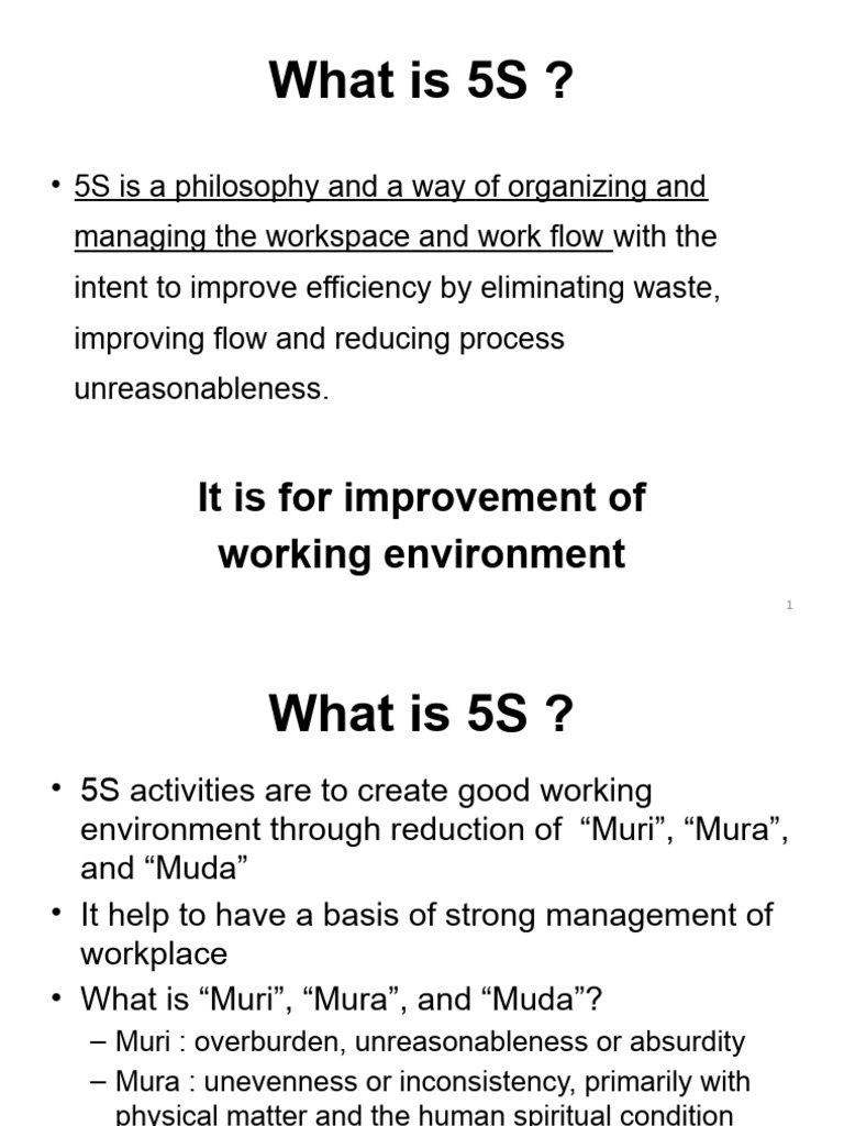 Understanding 5S: Workplace Efficiency Guide | PDF | Standardization