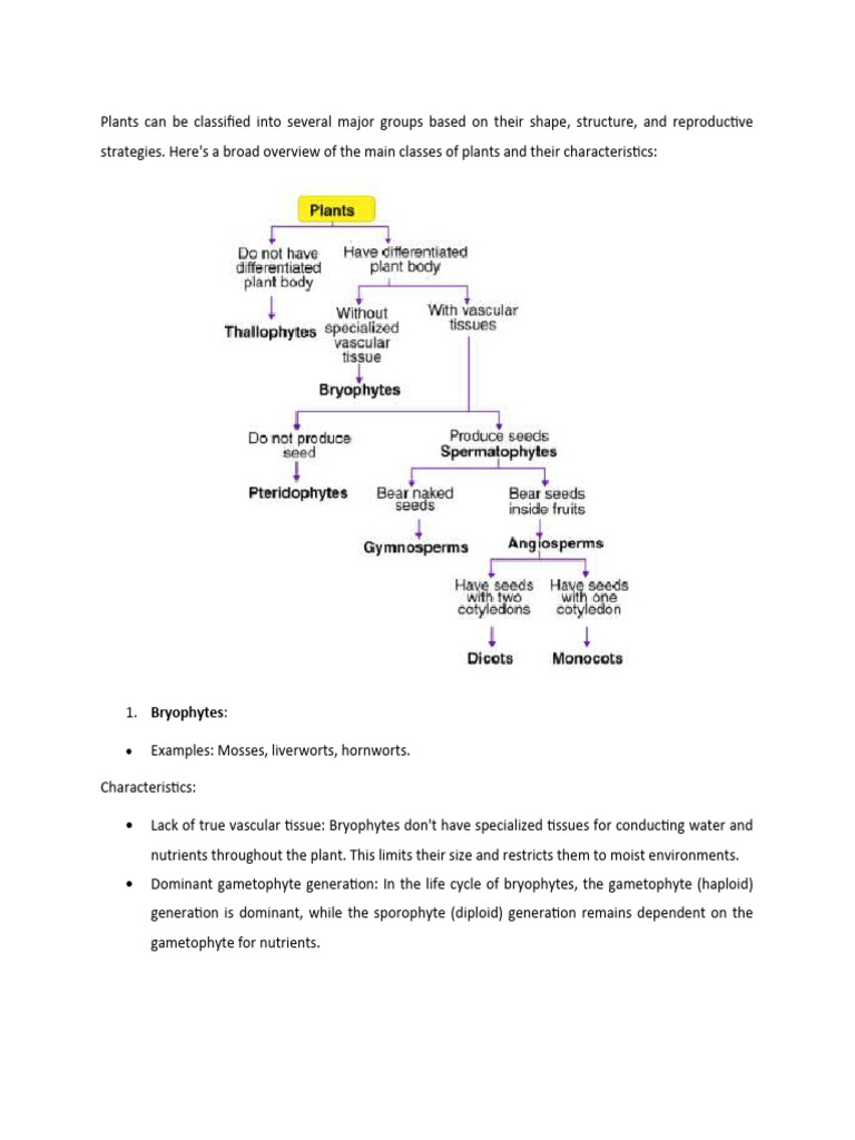 Plants Shape and Structure | PDF | Fern | Fertilisation