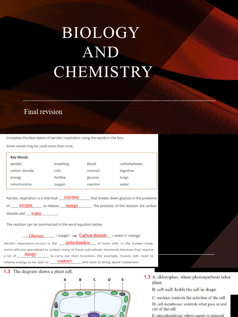 Biology and Chemistry Final Revision | PDF