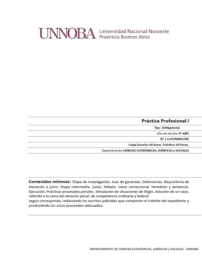 Programa Practica Profesional I (Penal) | PDF | Derecho penal | Queja