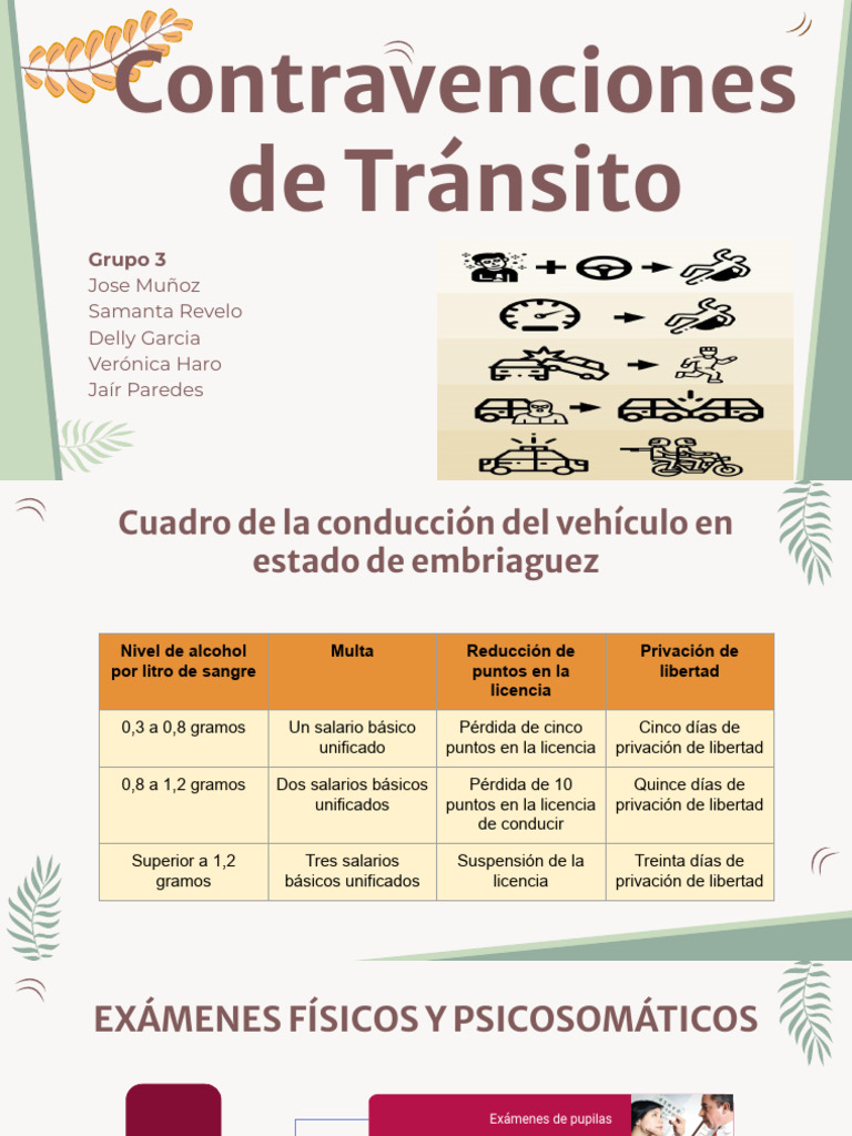 Contravenciones de Tránsito Leccion 14 | PDF