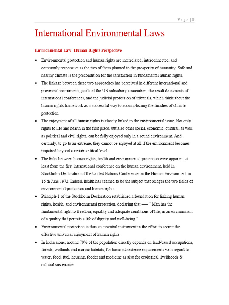 International Environmental Laws | PDF | Sustainability | Sustainable ...