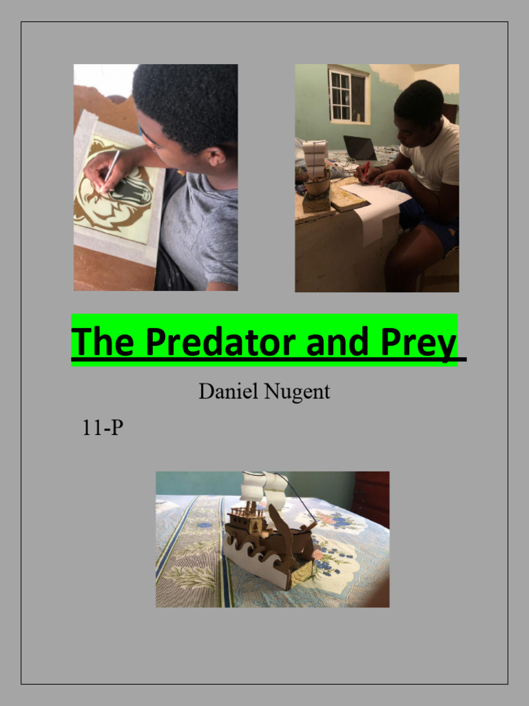 Visual Arts SBA: Daniel Nugent's Journey | PDF | Pottery | The Arts
