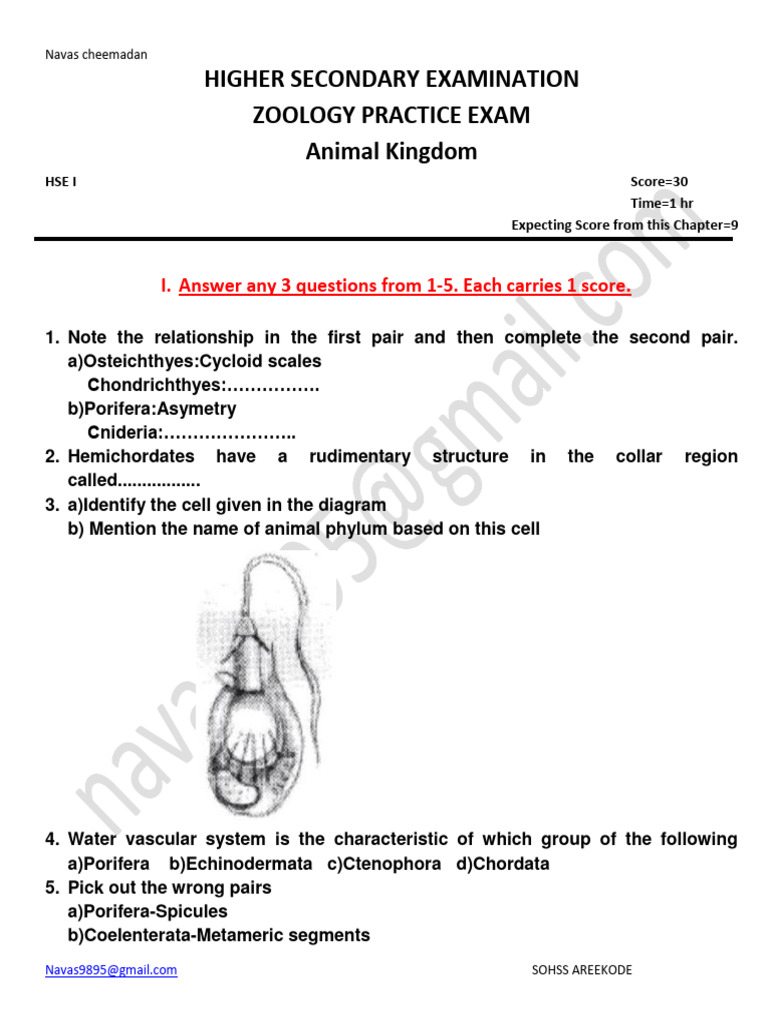 Animal kingdom | PDF | Zoology