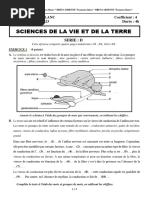 SVT TD - L1 - Le Reflexe Conditionnel | PDF | Cerveau | Salive
